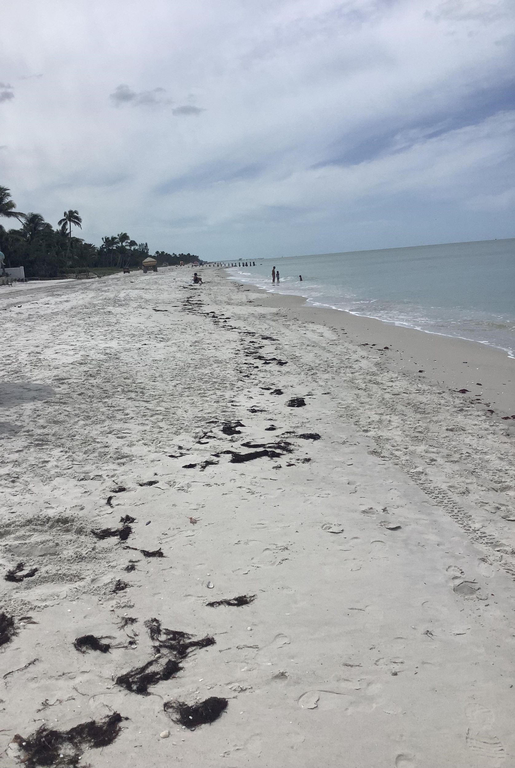 Emergency Beach Berm Update - April 21, 2023 - Gulf Shore Association ...